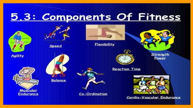 chapter 3 physical fitness, wellness and lifestyle | PPT