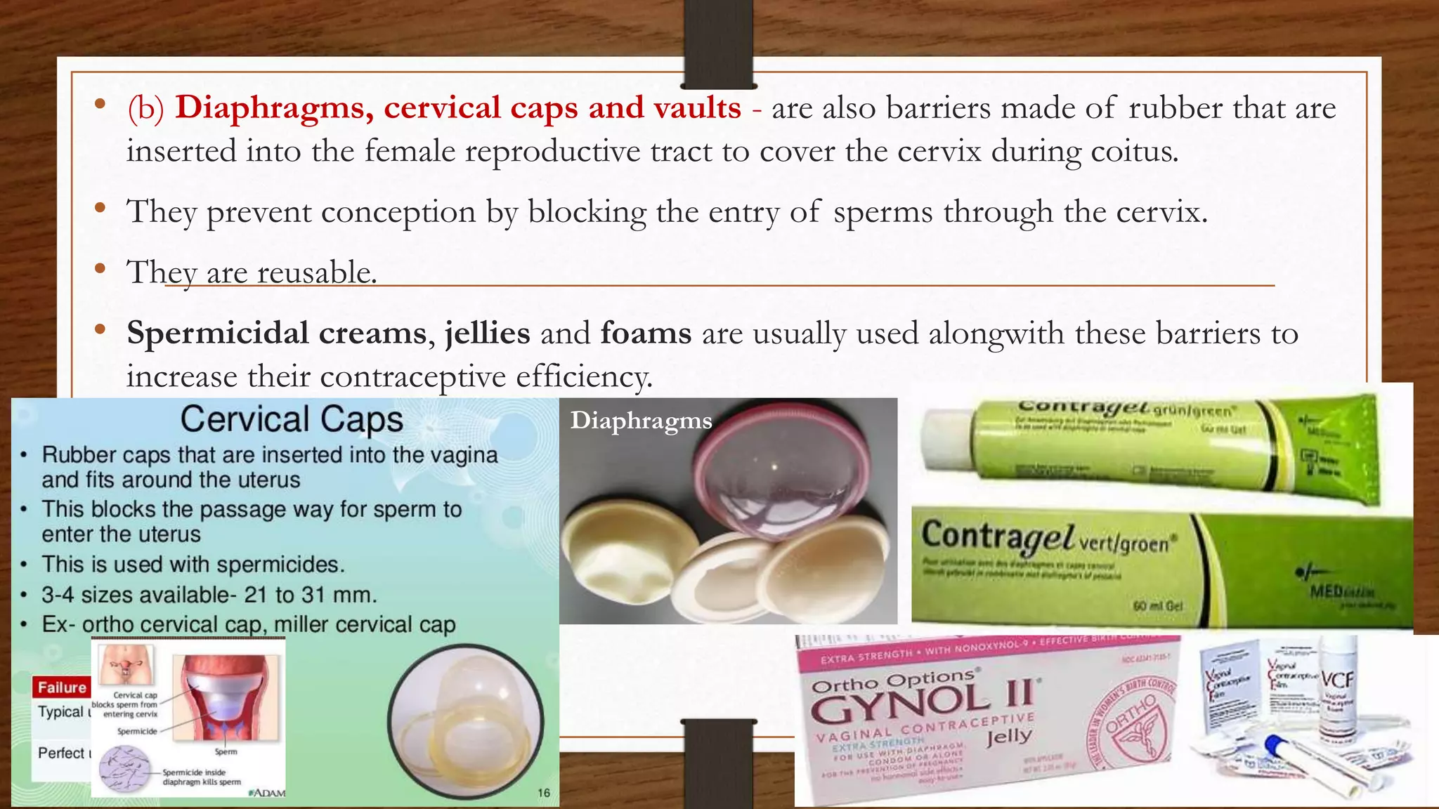 Std 12 biology chapter 4 | PPTX