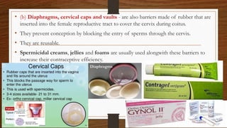 Std 12 biology chapter 4 | PPTX