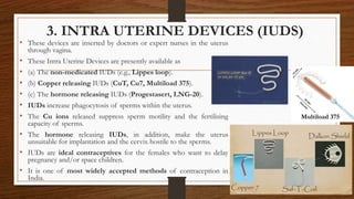 Std 12 biology chapter 4 | PPTX