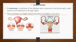 Std 12 biology chapter 4 | PPTX