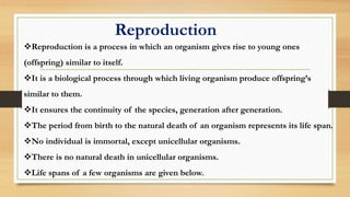 Std 12 ch 1 reproduction in organism | PPTX