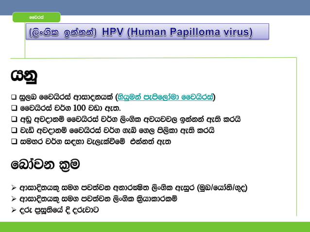 Std prensentation | PPT