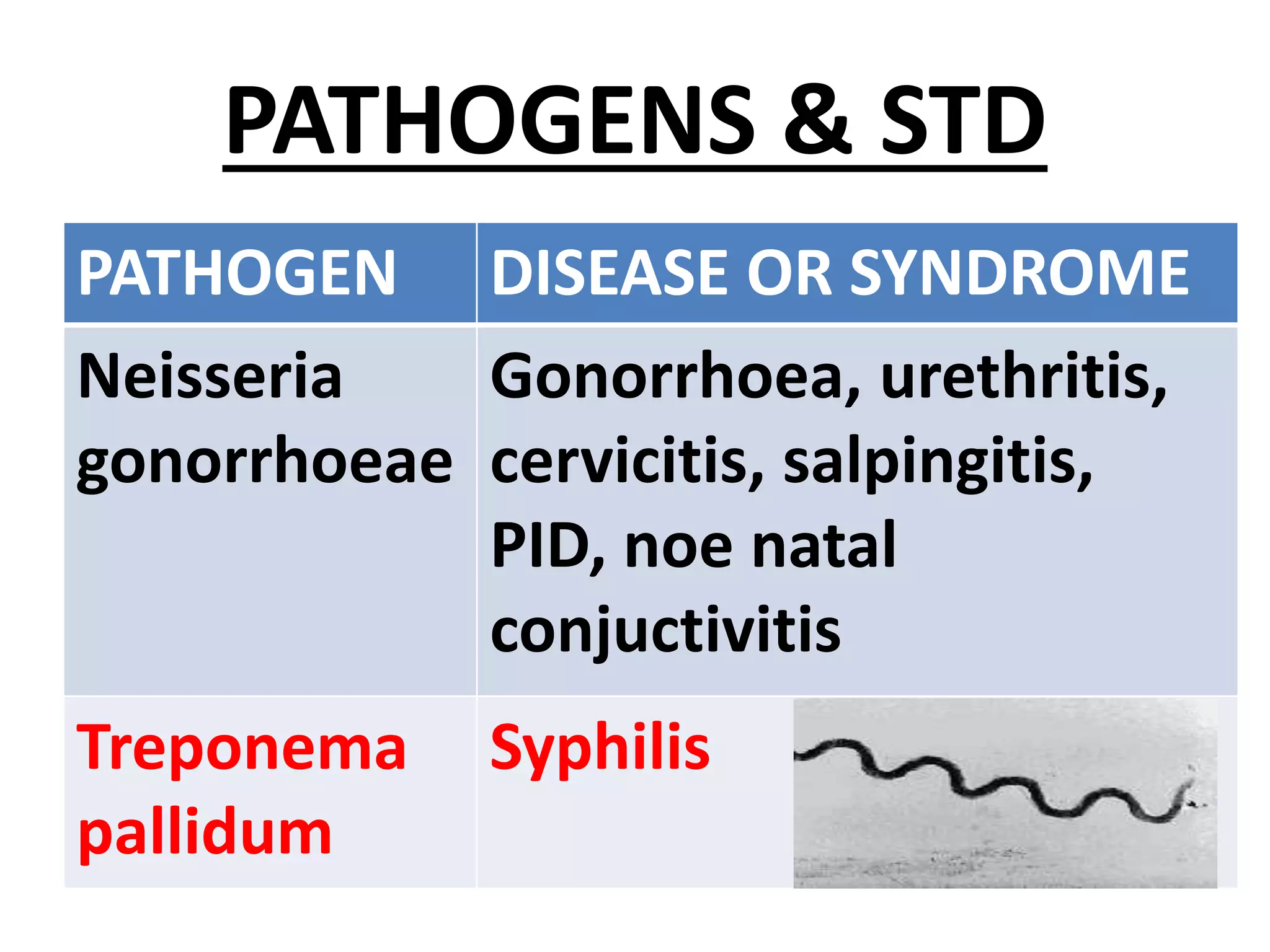SEXUALLY TRANSMITTED DISEASES | PPTX