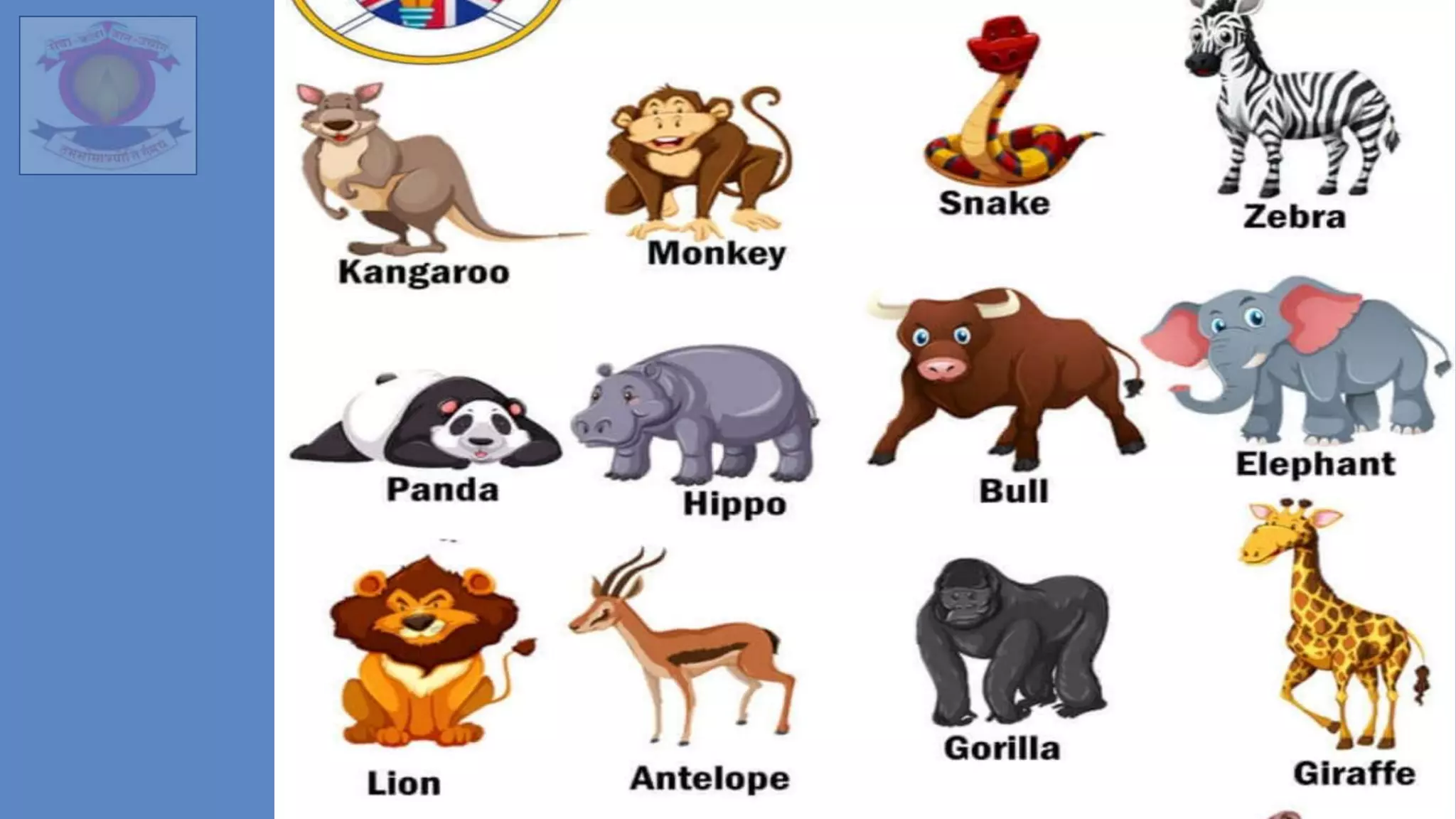 std- 1st, subject- Science-lesson-1,Animals around us.pptx
