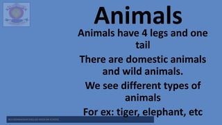 std- 1st, subject- Science-lesson-1,Animals around us.pptx