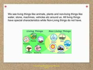 Characteristics of Living Things | PPTX
