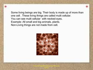 Characteristics of Living Things | PPTX