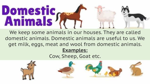 STD 1 - WORLD OF ANIMALS - PPT - ENVIRONMENTAL SCIENCE | PDF