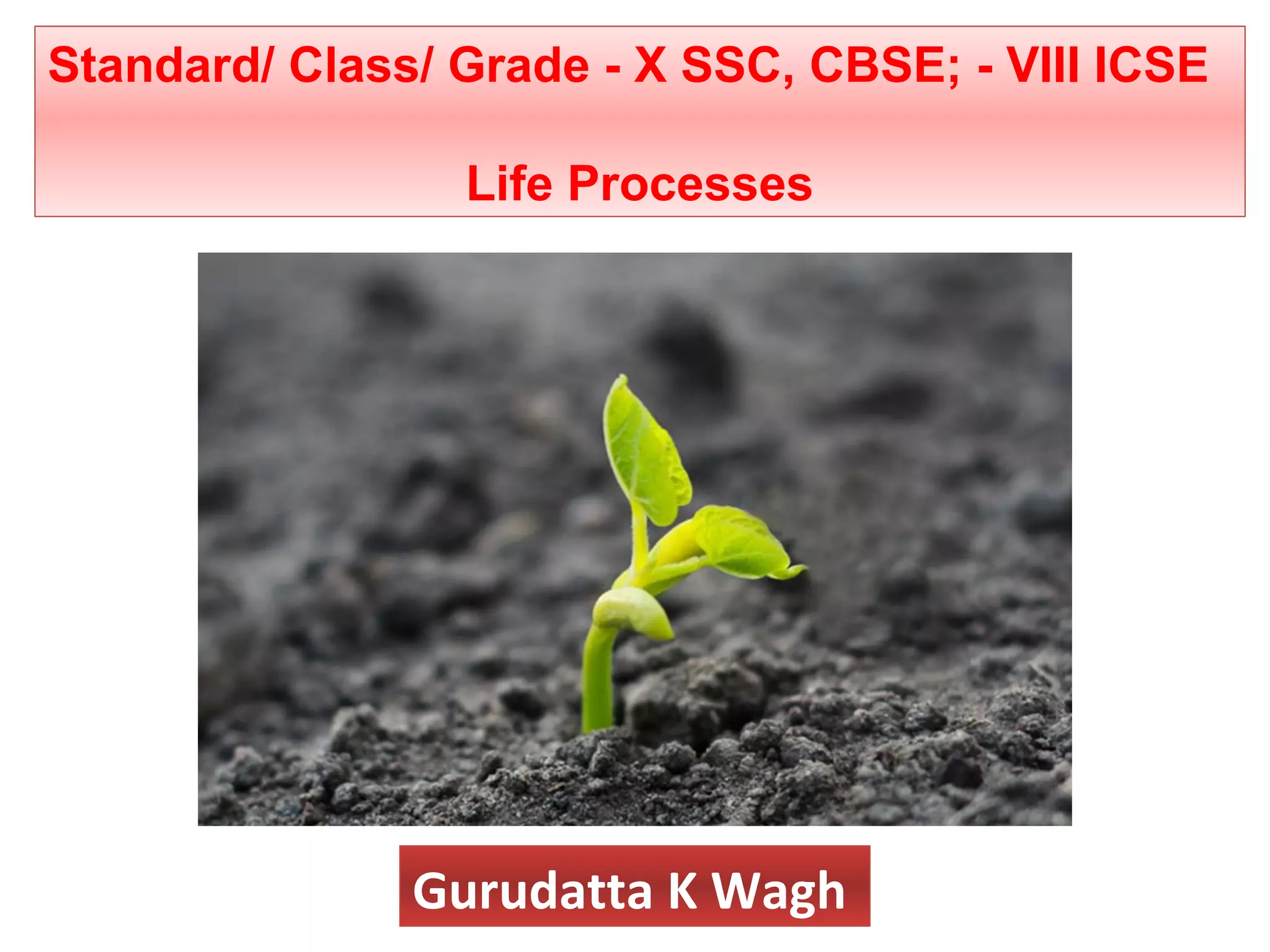 Life Processes | PPT