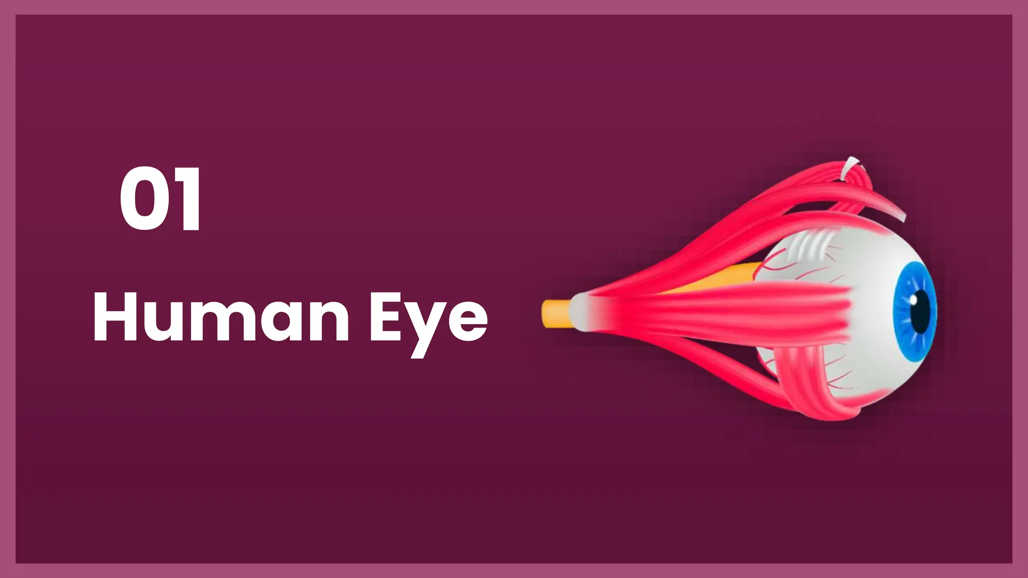 Human eye and Colourful world | Class 10 Physics | TO BUY Contact ...