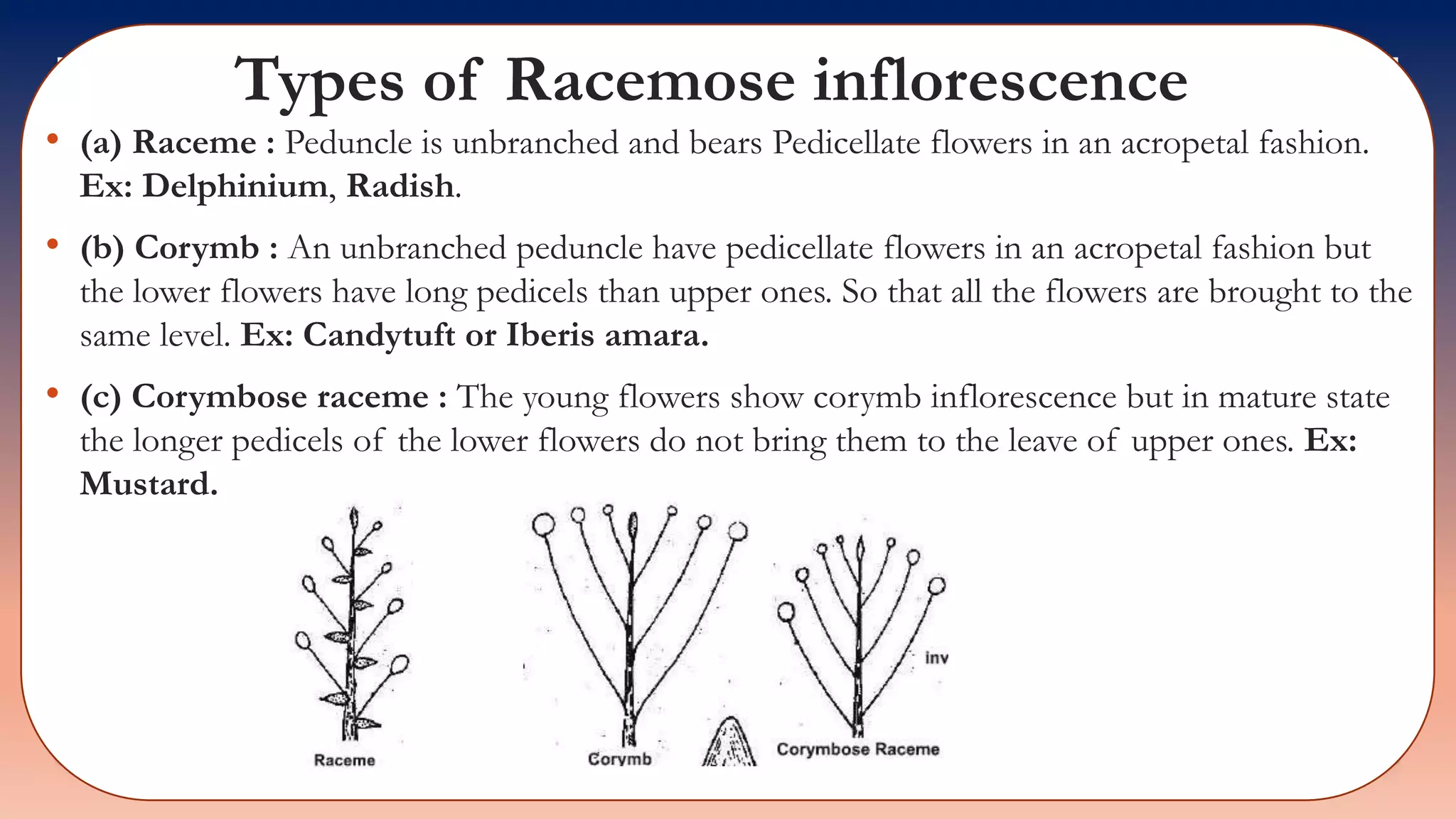 Std 11 biology chapter 05 | PPTX
