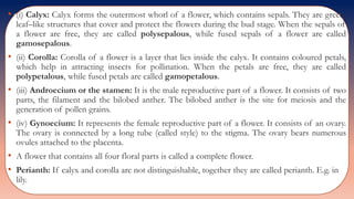 Std 11 biology chapter 05 | PPTX