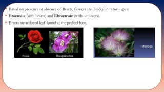 Std 11 biology chapter 05 | PPTX