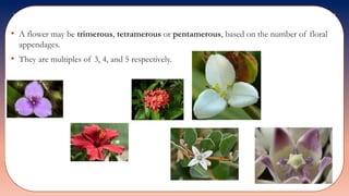 Std 11 biology chapter 05 | PPTX