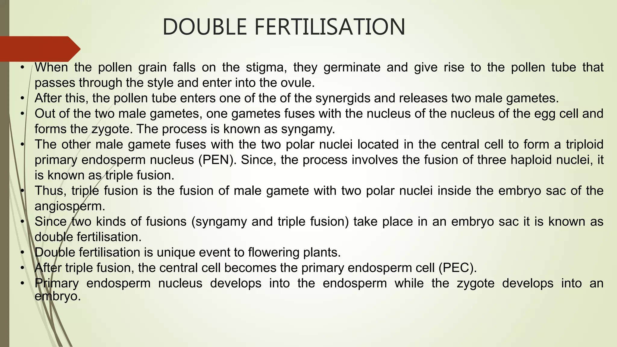 Std 12 chapter 2 REPRODUCTION IN FLOWERING PLANTS | PPTX