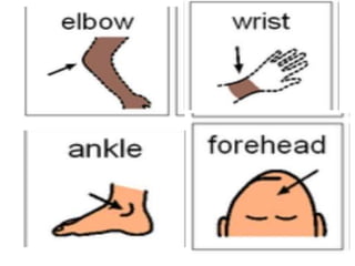 Std 1 Parts of the body Sujata Tr.pptx