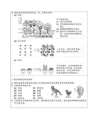 Std6 science notes | PDF