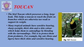 Std 7th Science Chapter 7 WEATHER, CLIMATE AND ADAPTATIONS OF ANIMALS ...