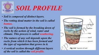 Std 7th Science Chapter 9 SOIL.pptx