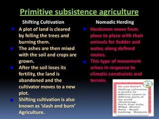 Std 8 geog. ch4 Agriculture | PPTX | Agriculture | Industries