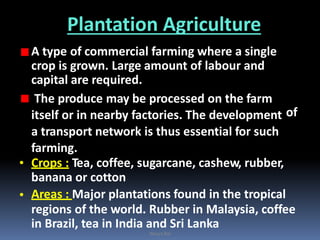 Std 8 geog. ch4 Agriculture | PPTX