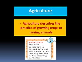 Std 8 geog. ch4 Agriculture | PPTX