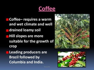 Std 8 geog. ch4 Agriculture | PPTX