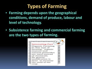 Std 8 geog. ch4 Agriculture | PPTX
