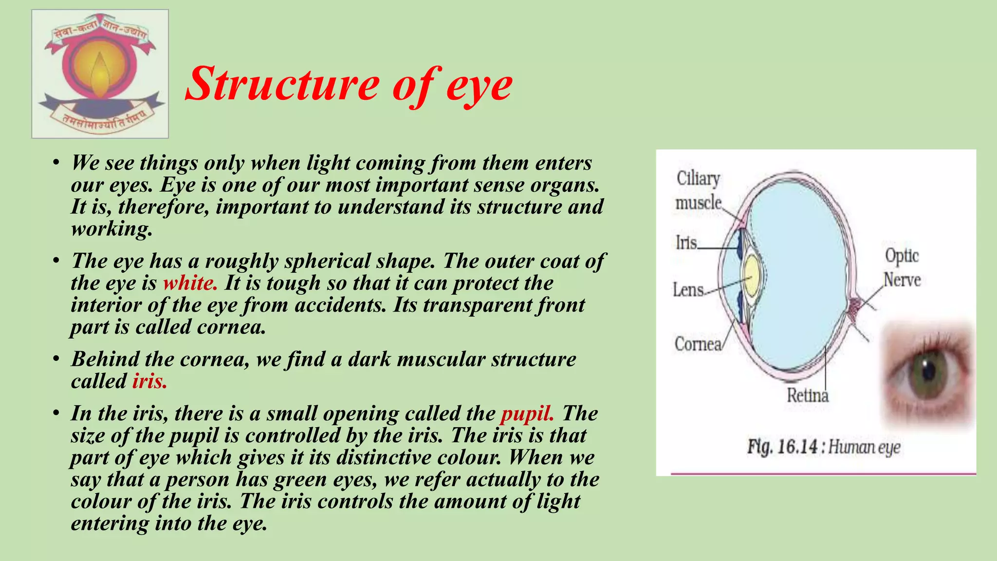 Std 8th Science Chapter 16 Light.pptx