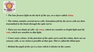 Std 8th Science Chapter 16 Light.pptx