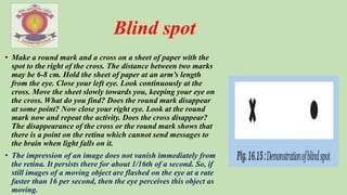 Std 8th Science Chapter 16 Light.pptx