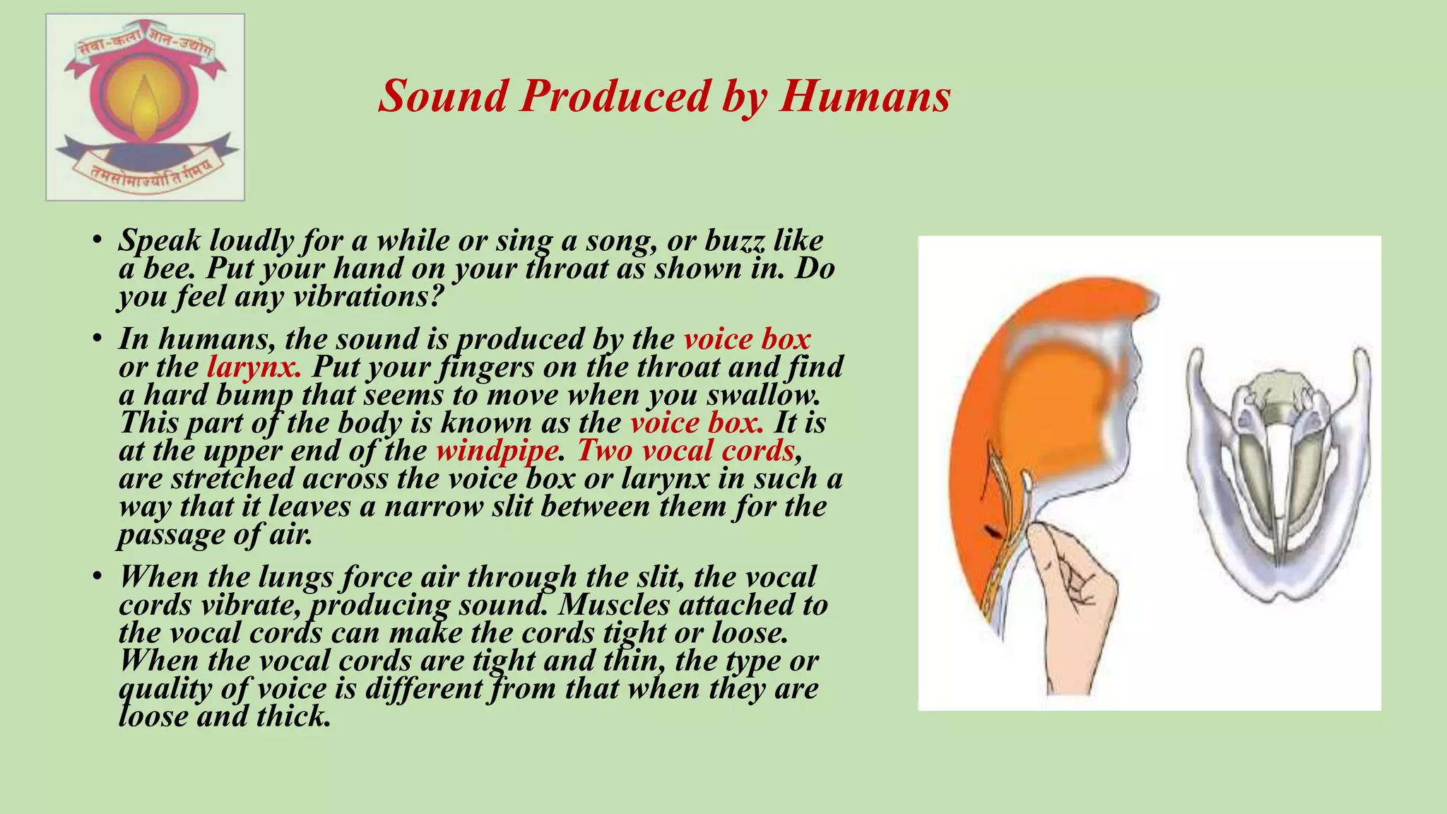 Std 8th Science Chapter 9 Sound.pptx