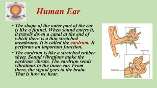 Std 8th Science Chapter 9 Sound.pptx