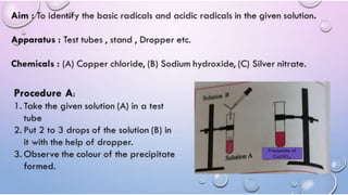 Std 9 acidic and basic radicals | PPTX