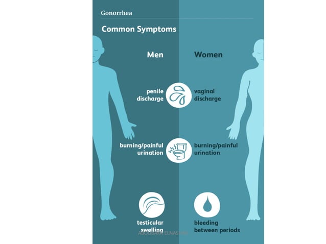 STD DURING PREGNANCY | PDF | Sexual Health | Diseases and Conditions