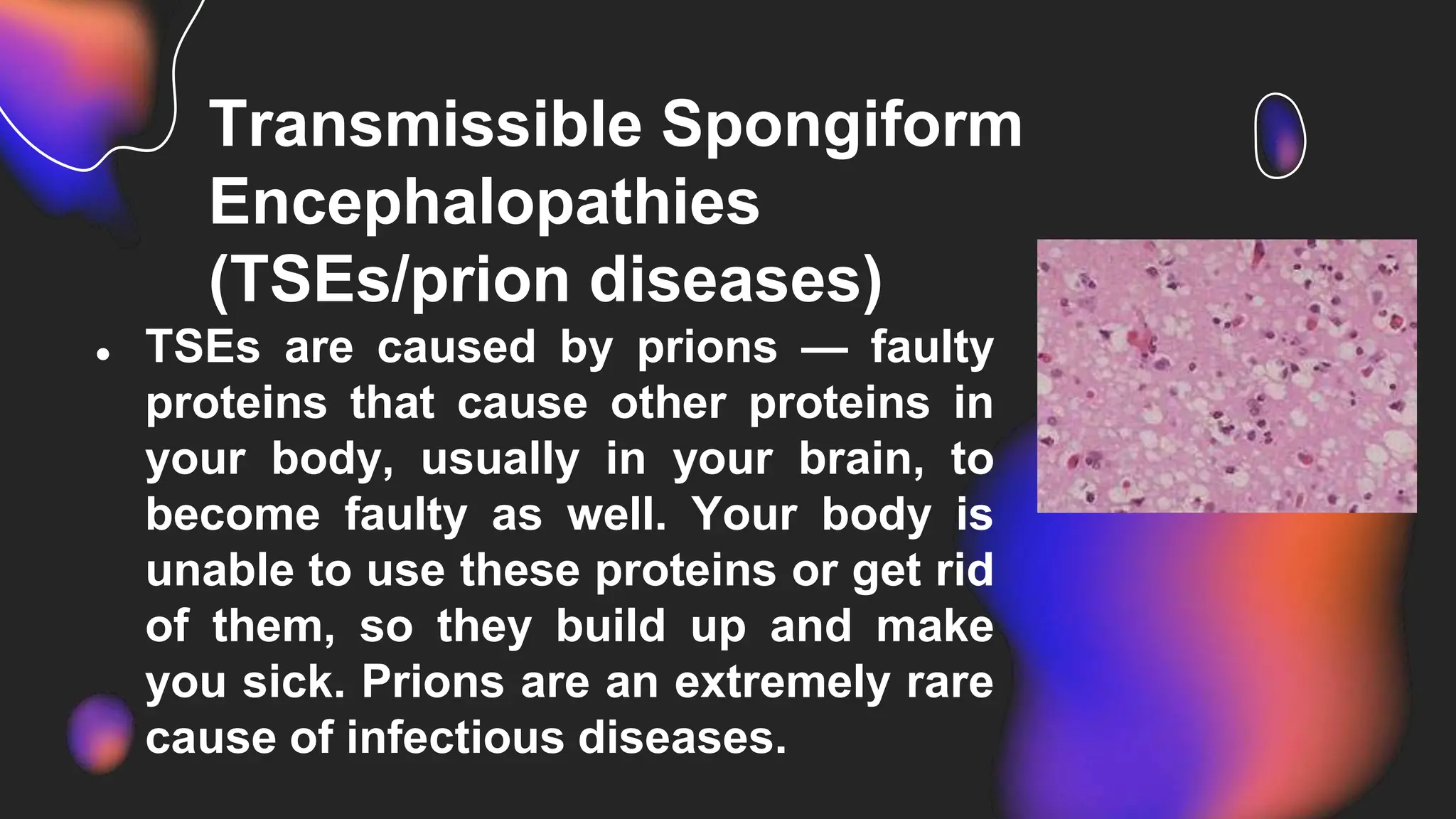 Sexually Transmitted Diseases And Infectious Diseases Pptx