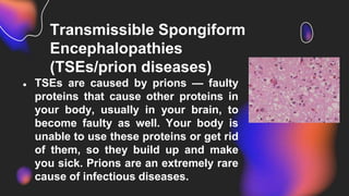 Sexually Transmitted Diseases AND INFECTIOUS DISEASES.pptx