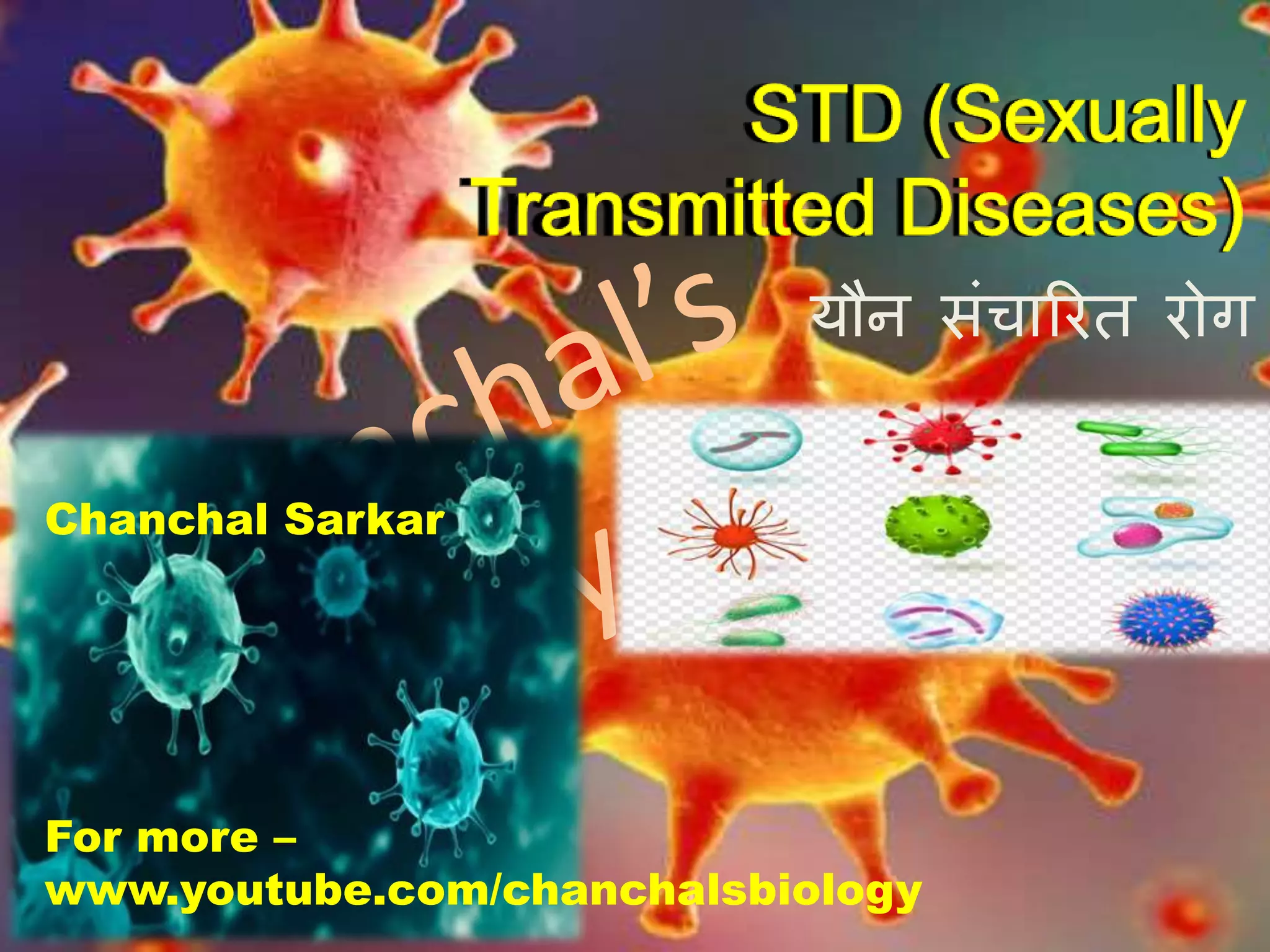 Std Sexually Transmitted Diseases Pptx Sexual Conditions Sexual
