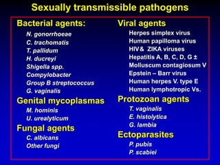 Sexually Transmissible Diseases Update | PPT