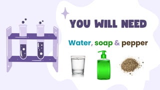 Steam Activity Pepper And Soap Experiment Pdf