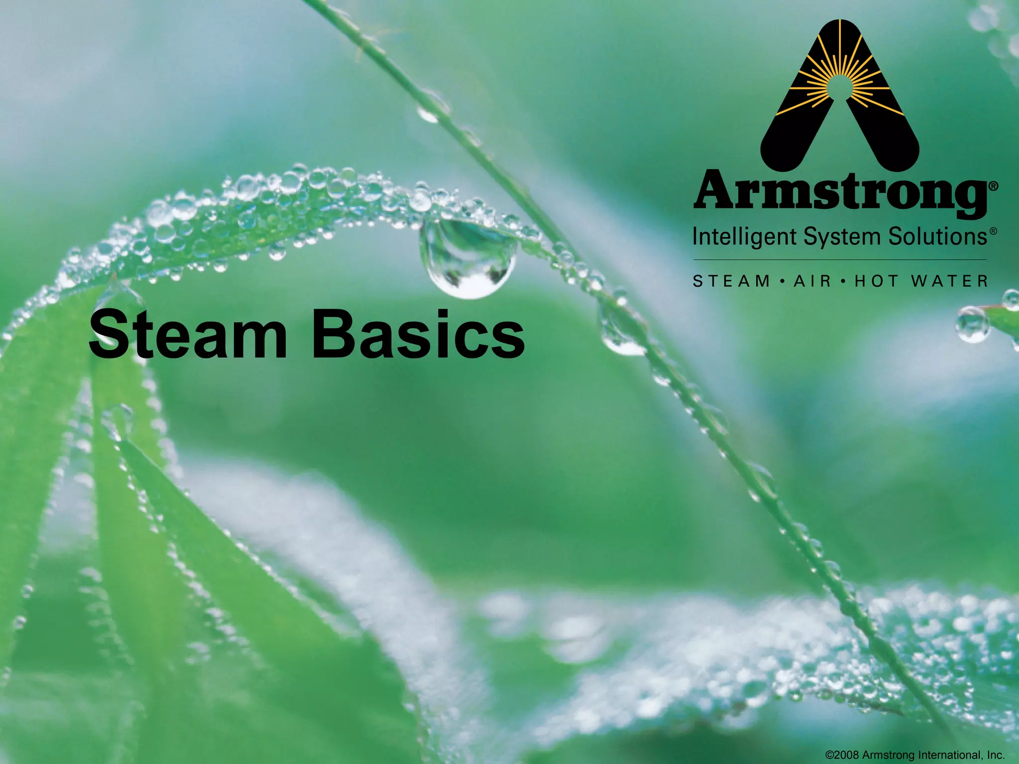 Steam Basics | PPT