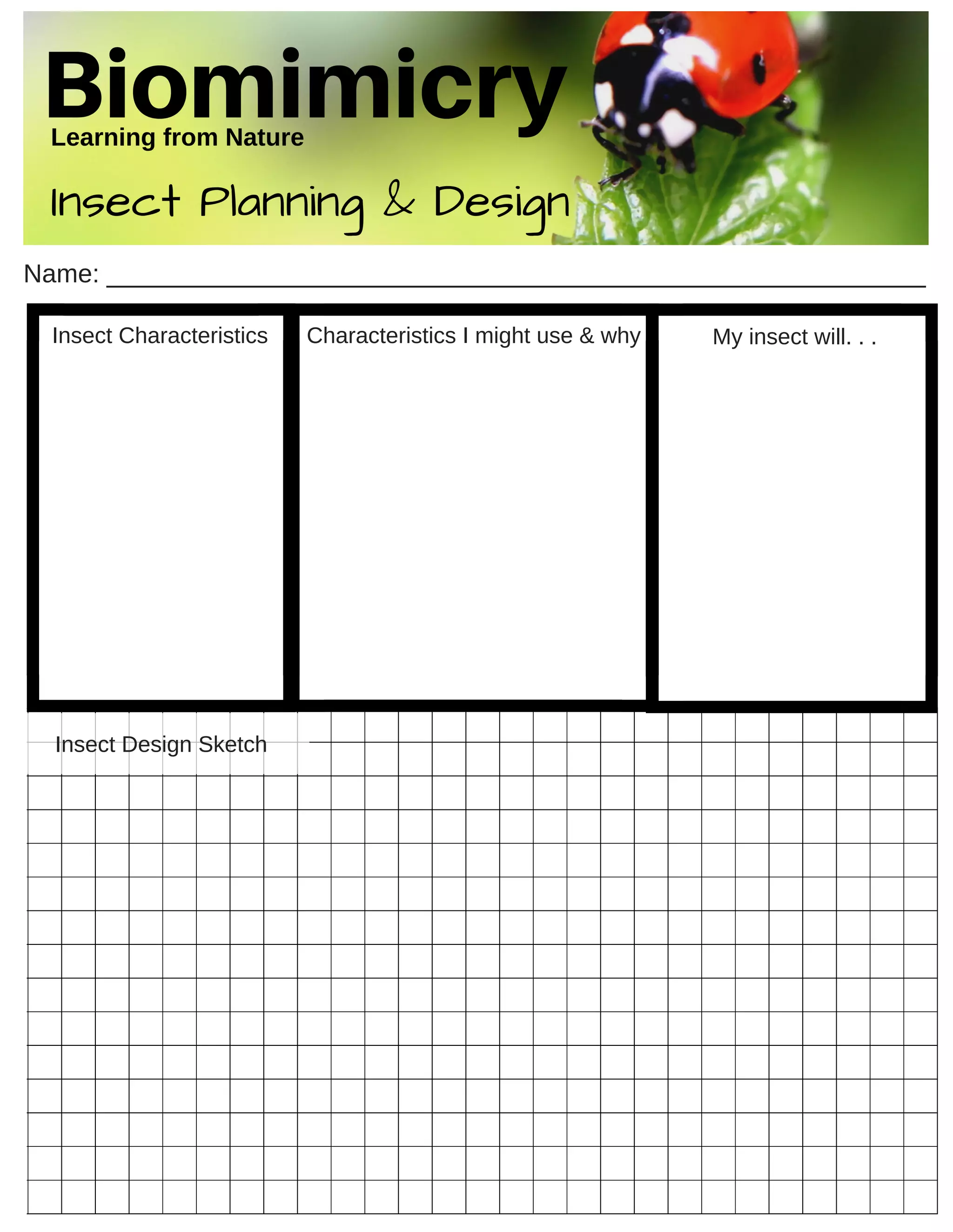 Steam biomimicry insect robot planning sheet | PDF