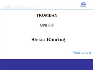 Steam blowing procedure | PPS