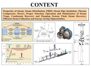 Steam distribution system by Varun Pratap Singh | PPTX
