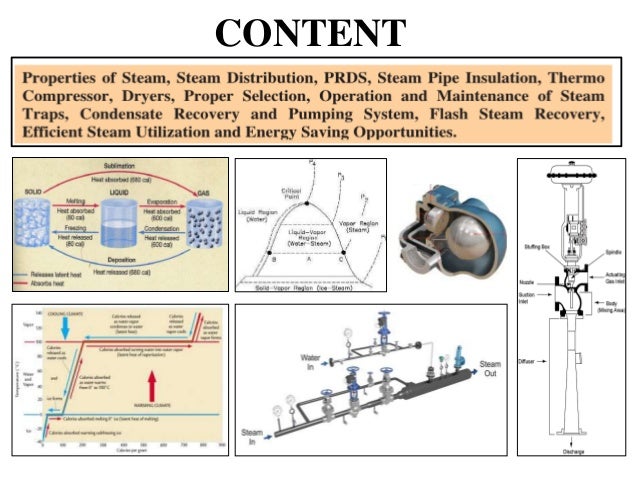 Steam Distribution System Diagram Steam Distribution System: