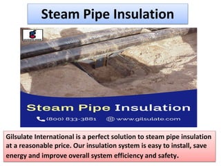Steam pipe insulation | PPT
