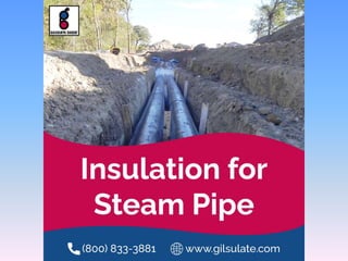 Steam pipe insulation | PPT