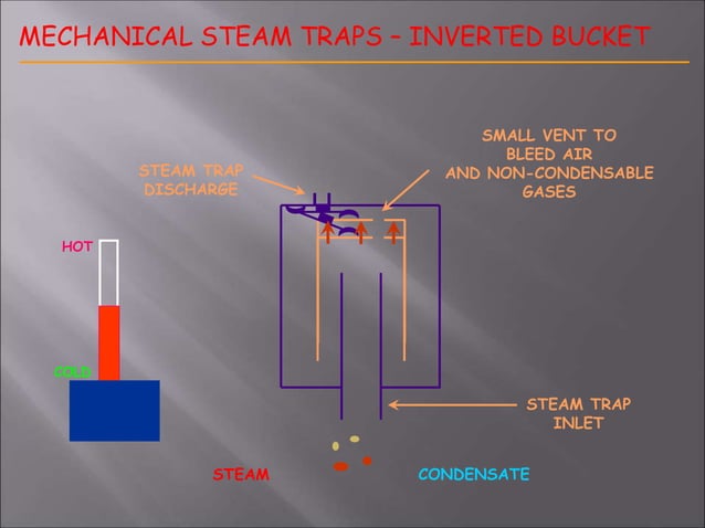 steam traps.ppt | Physics | Science