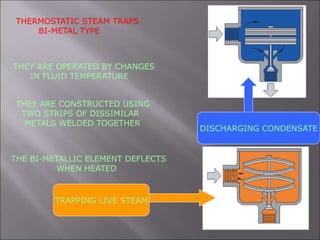 steam traps.ppt